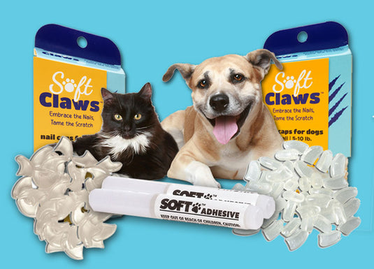 Soft Claws Nail Caps - Official Seller in the UK and Europe